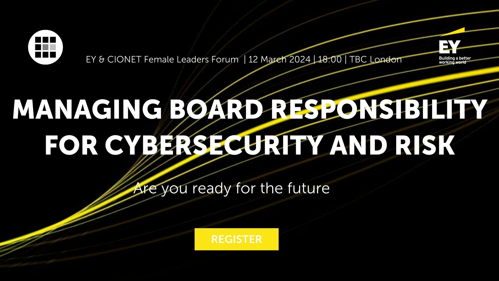 EY - Cybersecurity and Risk